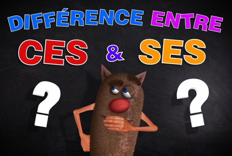 Différences entre ces et ses : guide sûr pour les distinguer